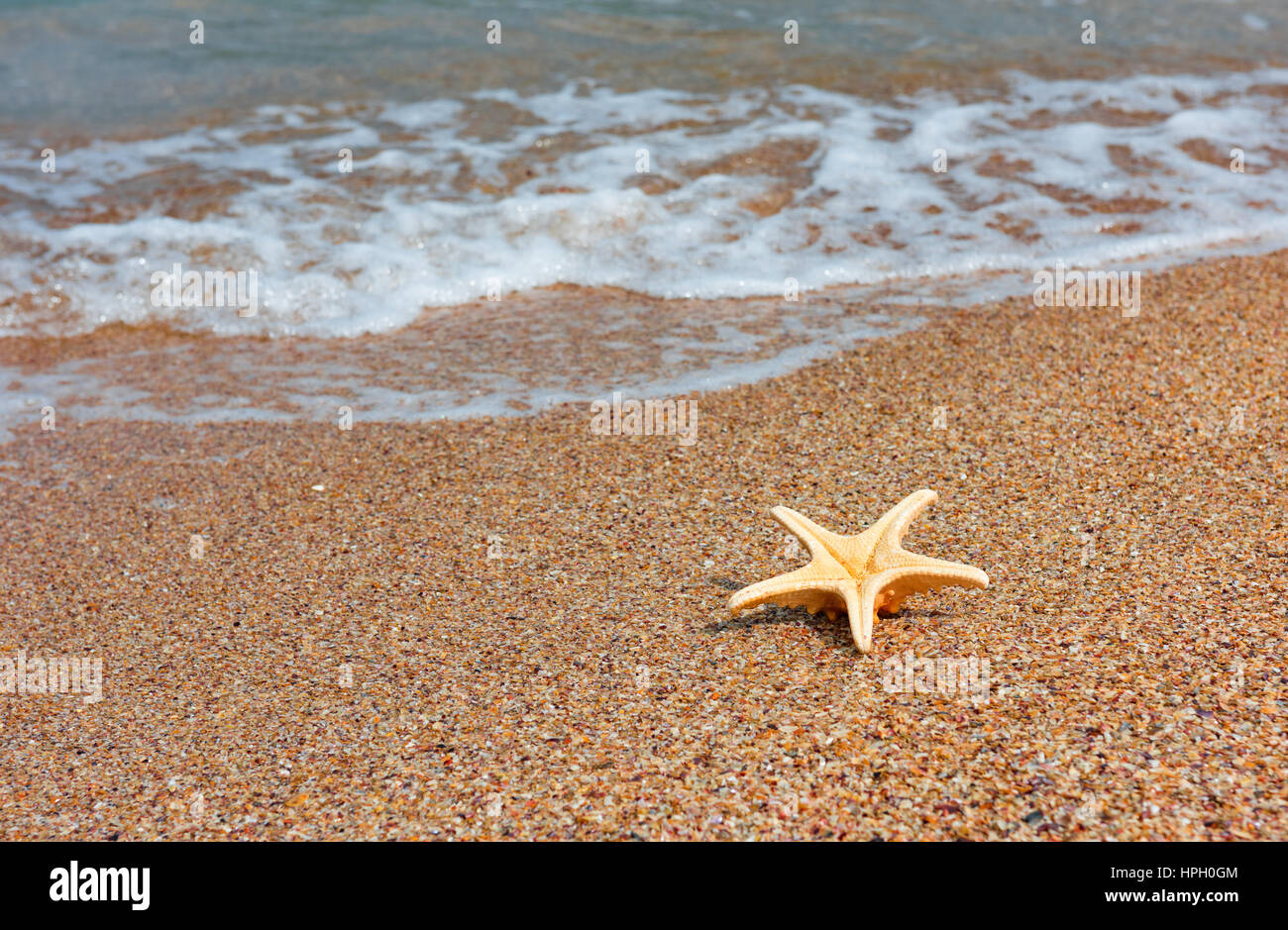 Starfish and surf hi-res stock photography and images - Alamy