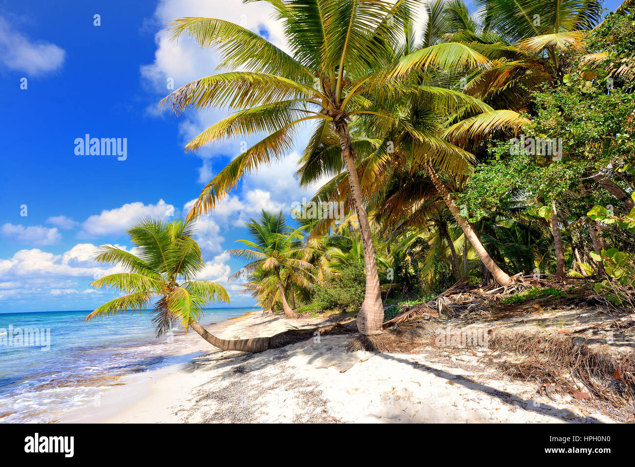 Tropical scenery. Beautiful palm beach with turquoise waters and white ...