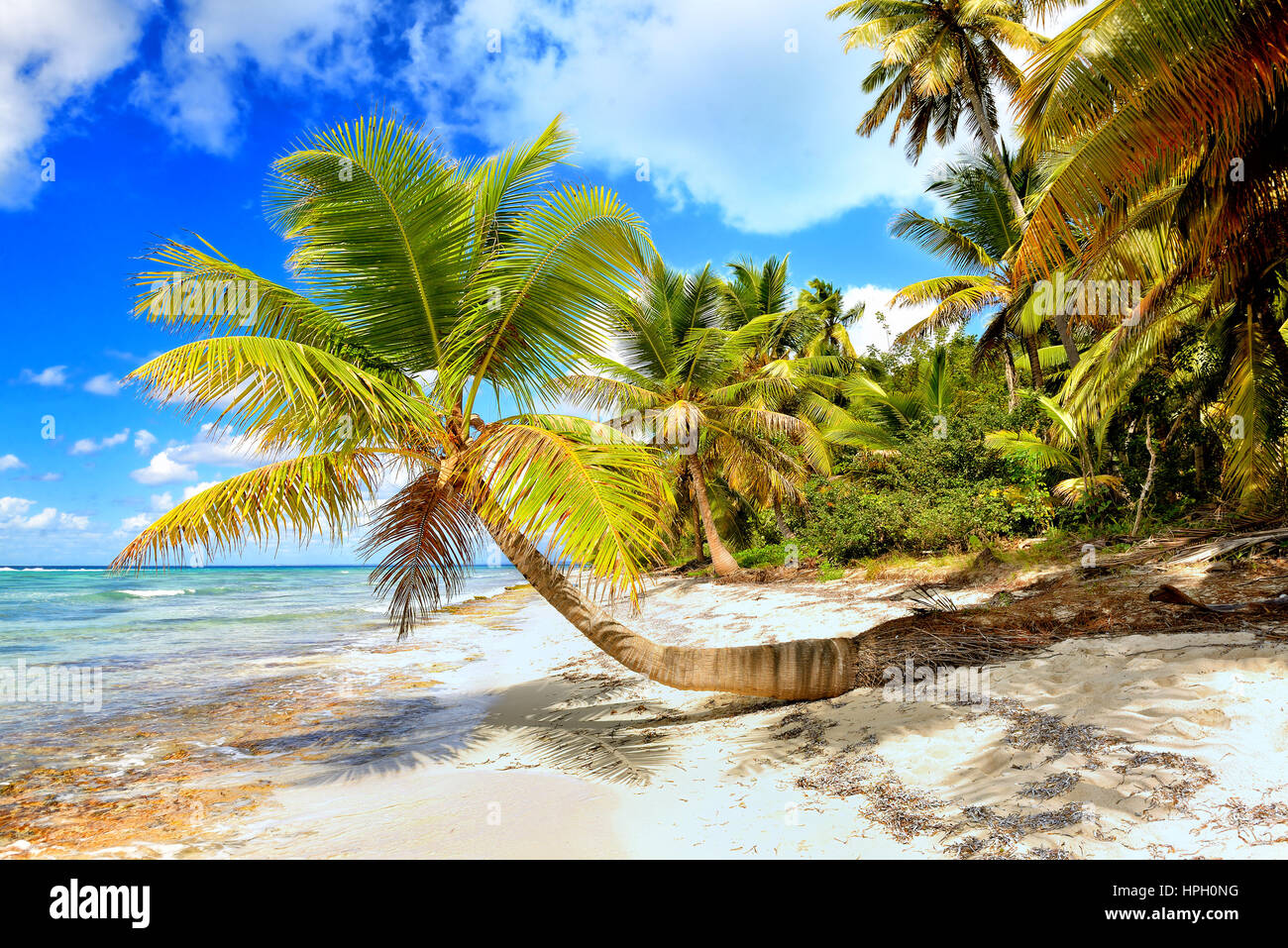 Beautiful Tropical Places