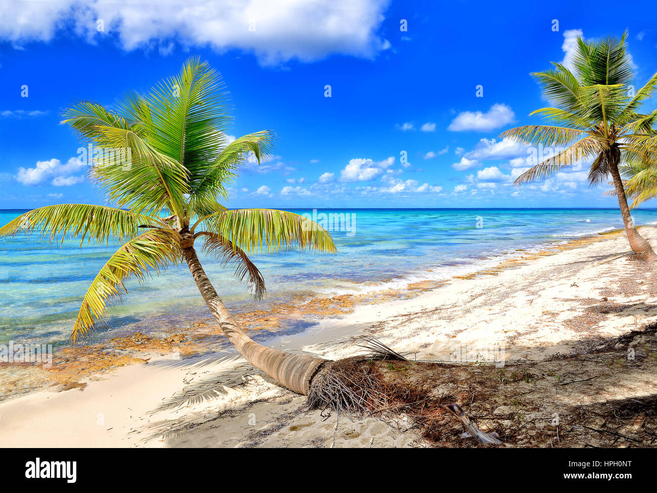 Tropical scenery hi-res stock photography and images - Alamy