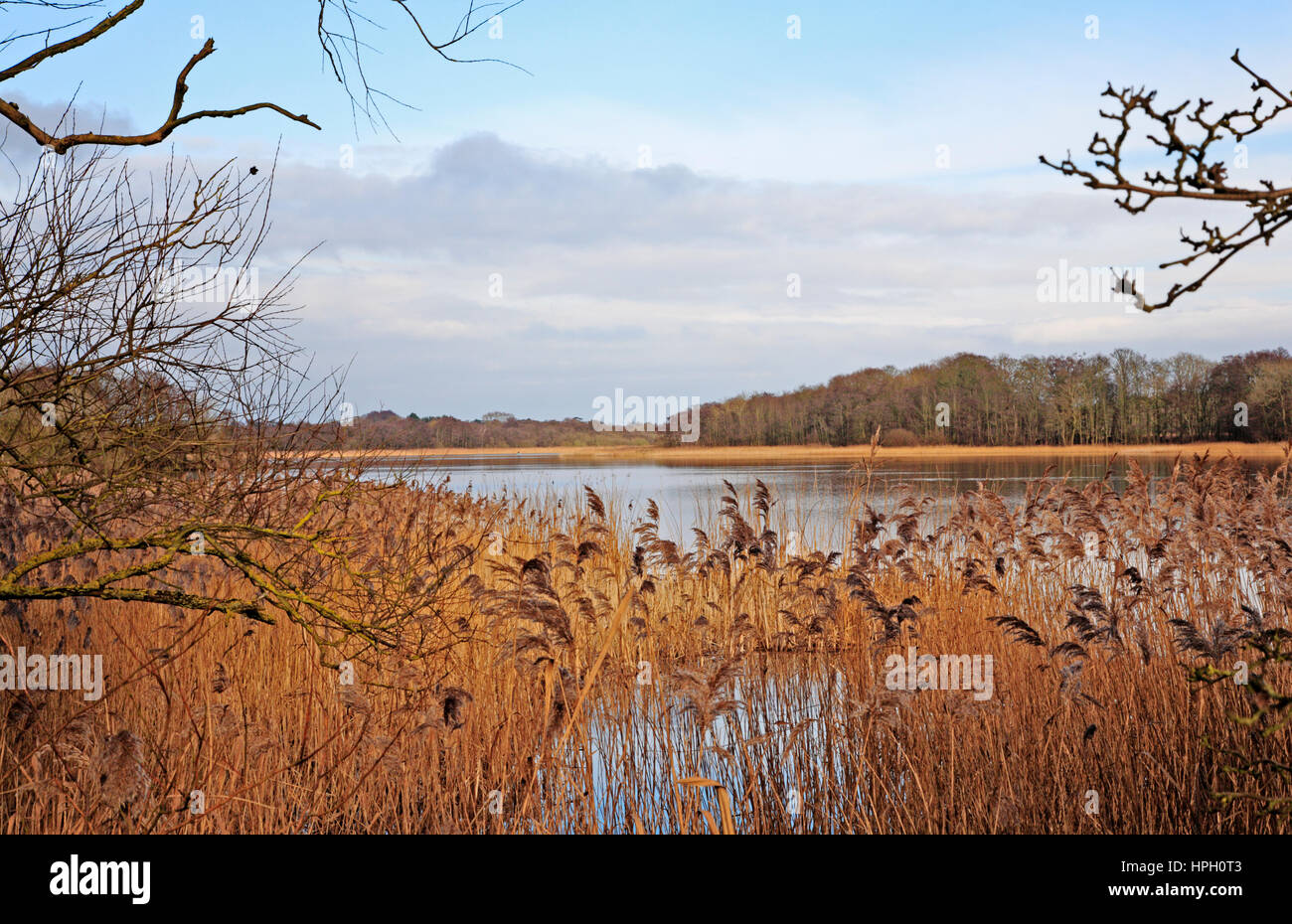 Ormesby little broad hi-res stock photography and images - Alamy