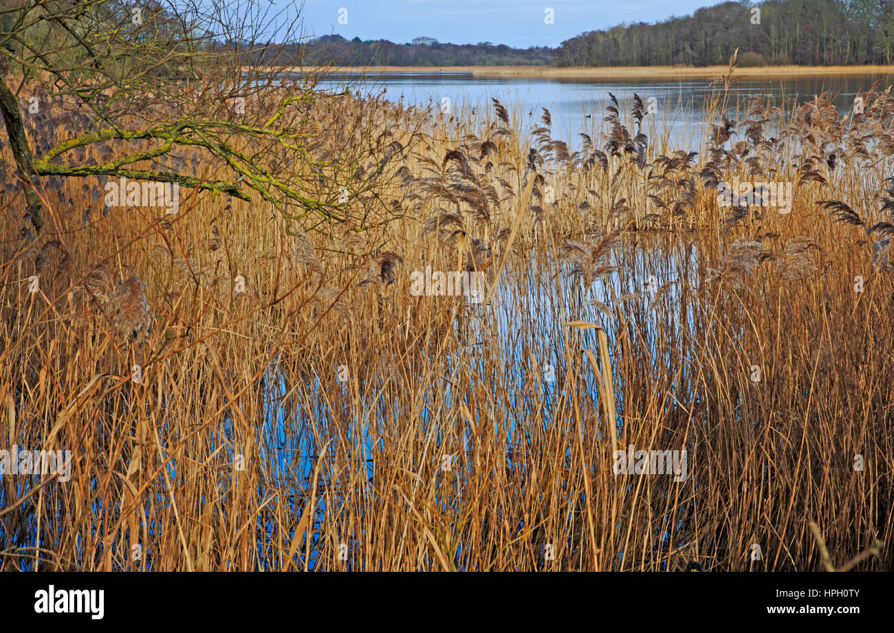 Filby hi-res stock photography and images - Alamy