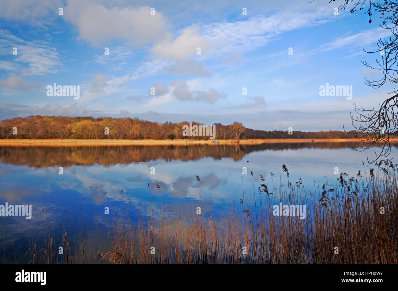 A view of Ormesby Little Broad on the Norfolk Broads from near Filby ...