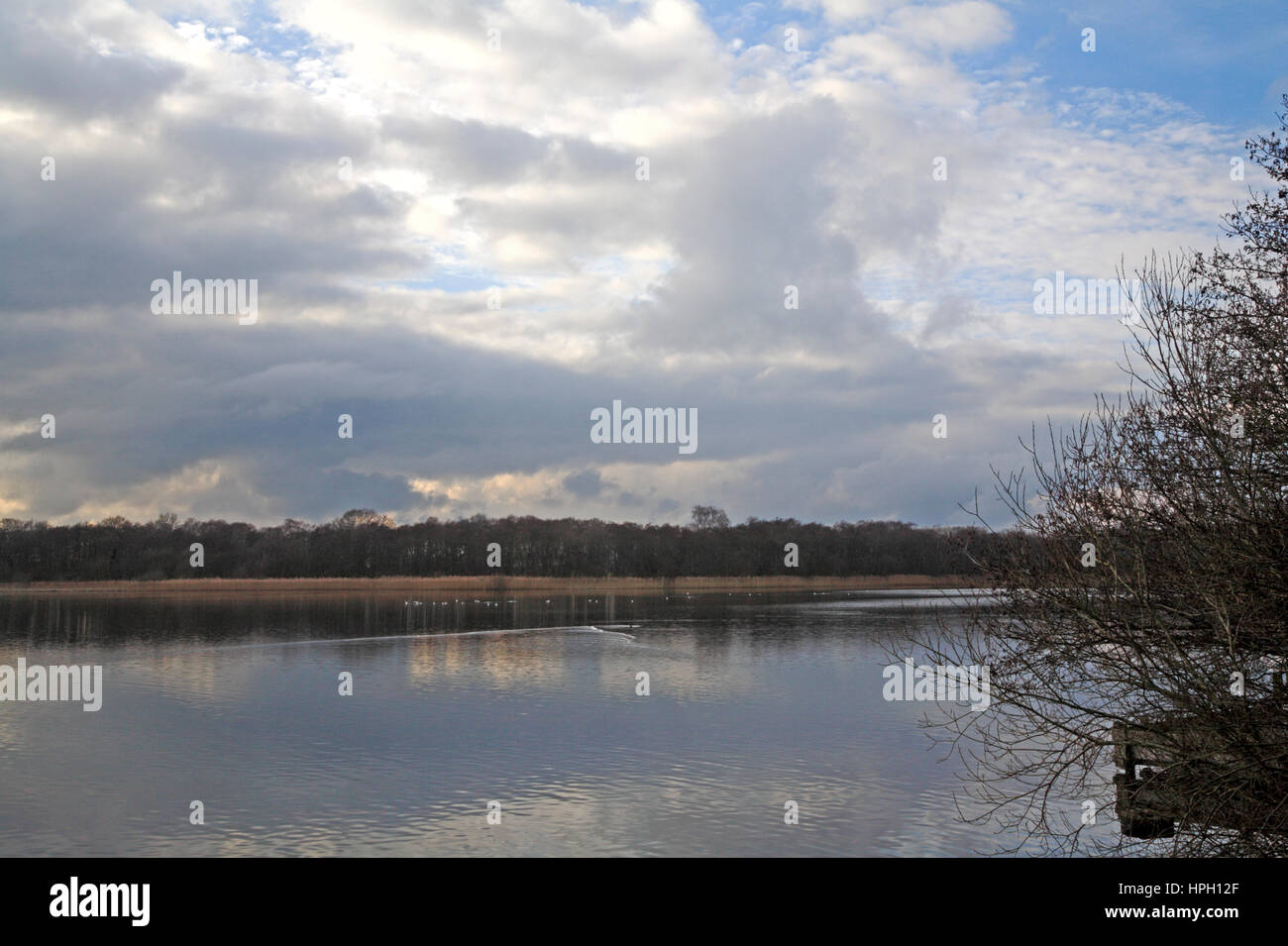 Clearing skies over Rollesby Broad on the Norfolk Broads at Rollesby ...