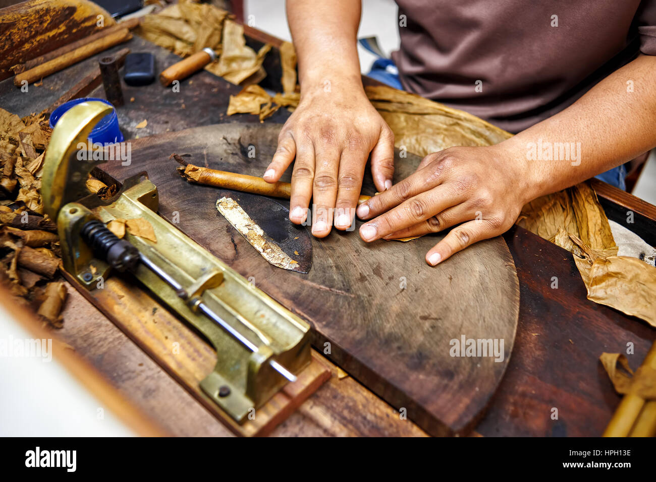 Closeup of hands making cigar from tobacco leaves. Traditional ...