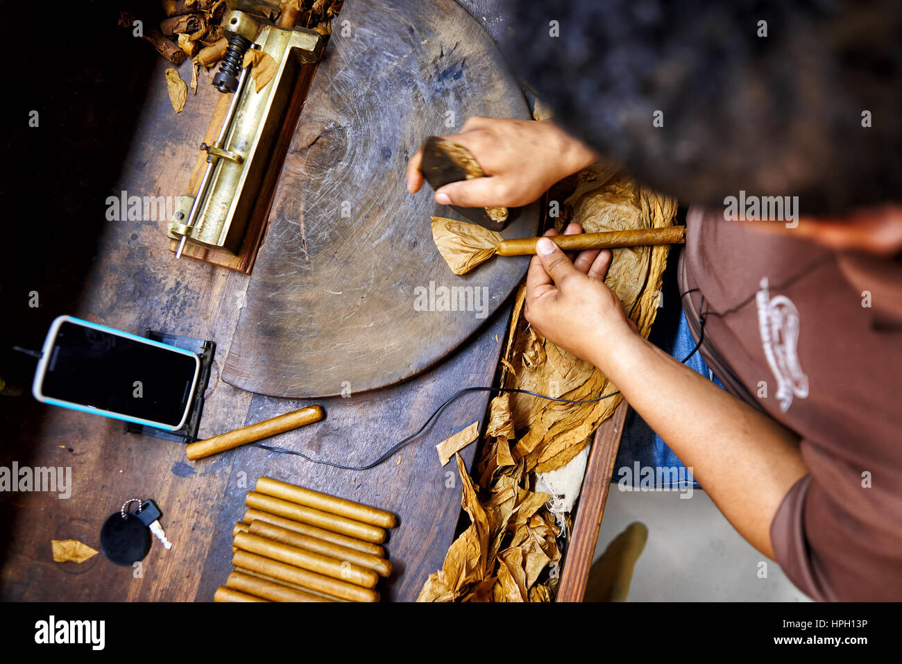 Closeup of hands making cigar from tobacco leaves. Traditional ...