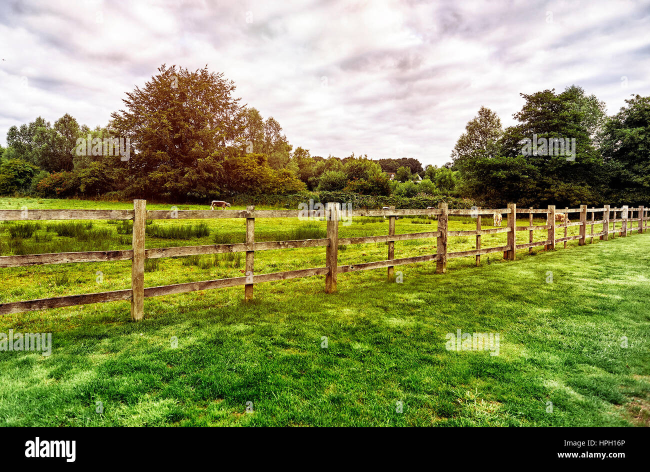 Beautiful English countryside. Stunning landscape over English ...