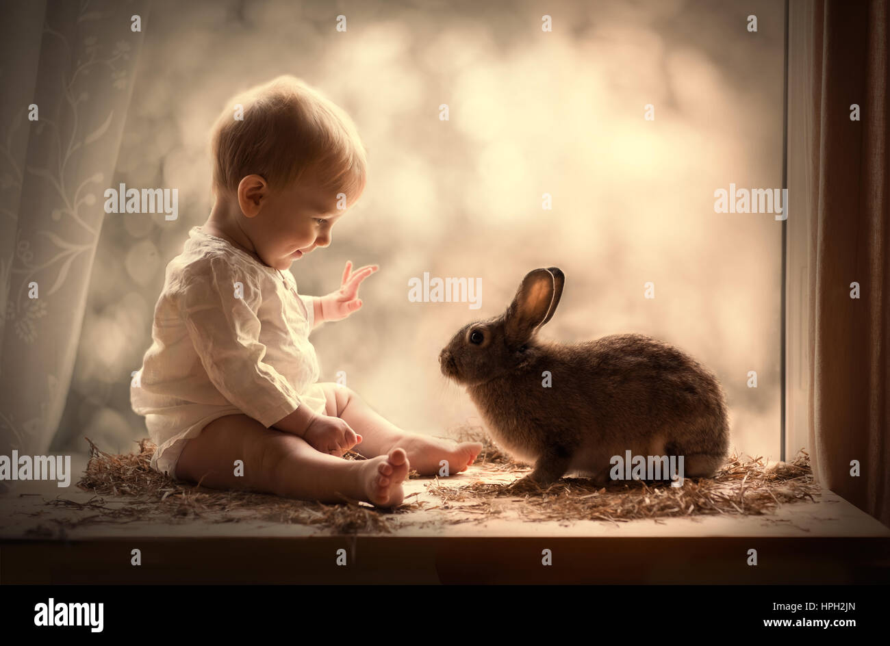 A baby playing with a brown rabbit Stock Photo - Alamy