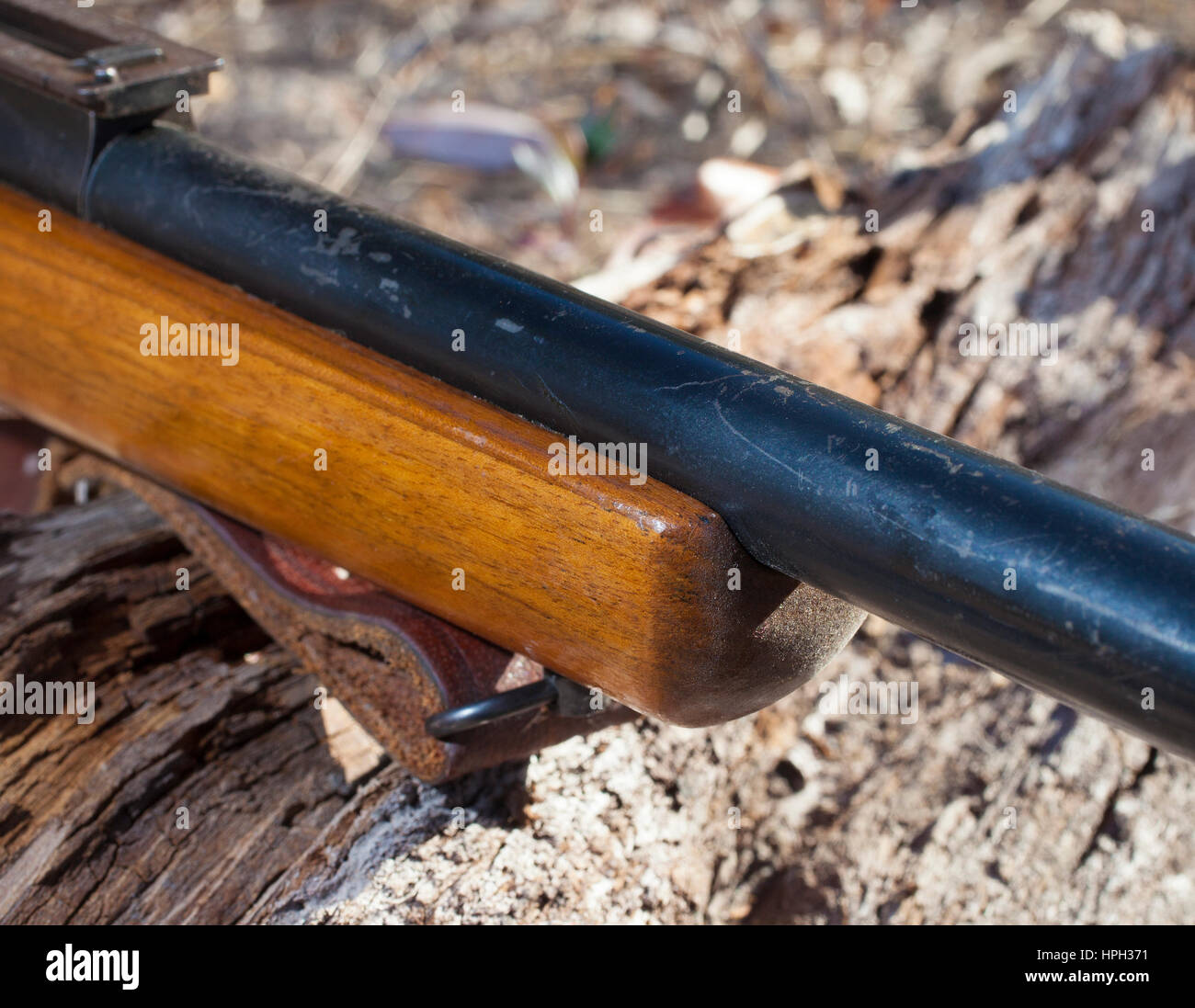 Rifle with leather sling hi-res stock photography and images - Alamy