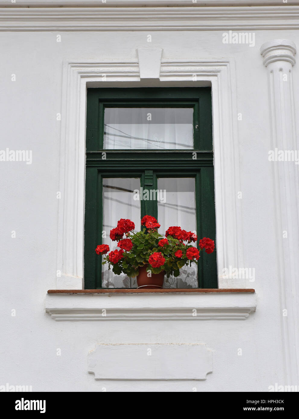 Classic green wooden window frame and red flowers on a village house ...