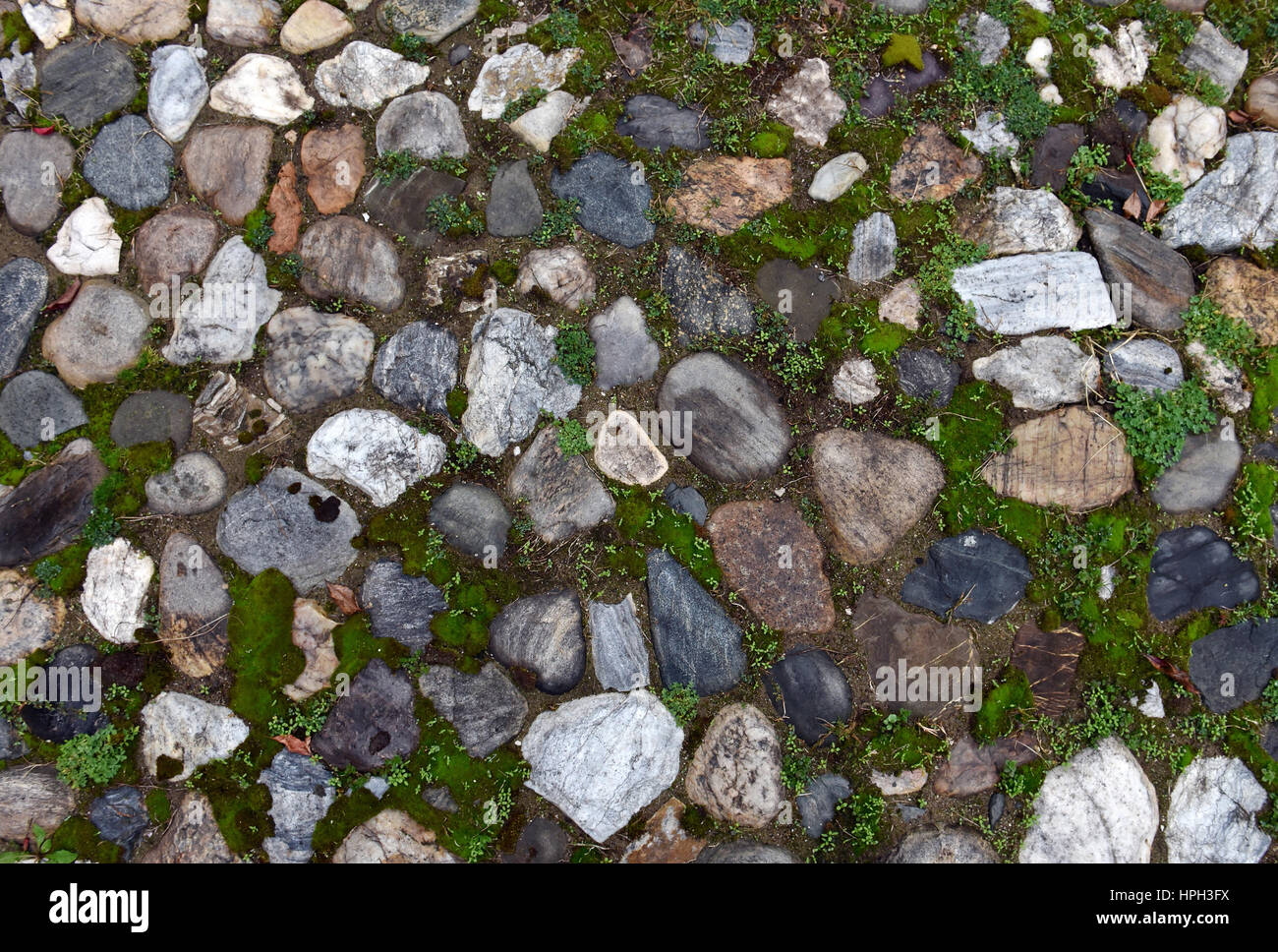 Old cobblestone pavement background with grass Stock Photo - Alamy