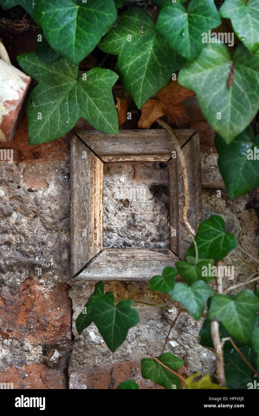 Ivy frame hi-res stock photography and images - Alamy