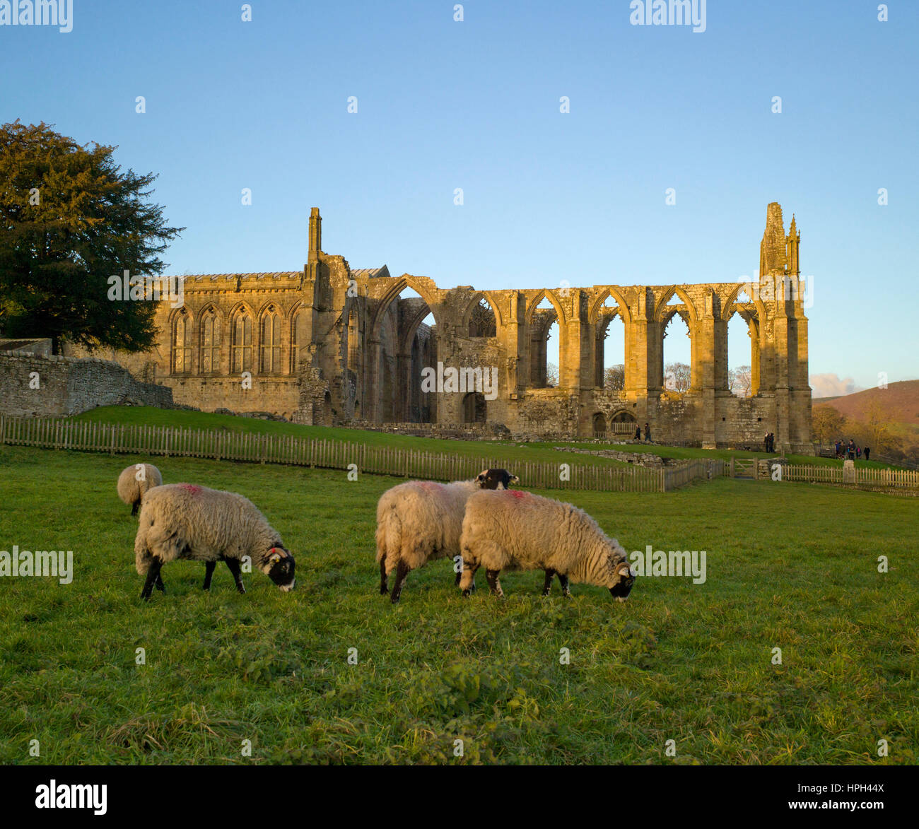 Yorkshire bolton abbey hi-res stock photography and images - Alamy