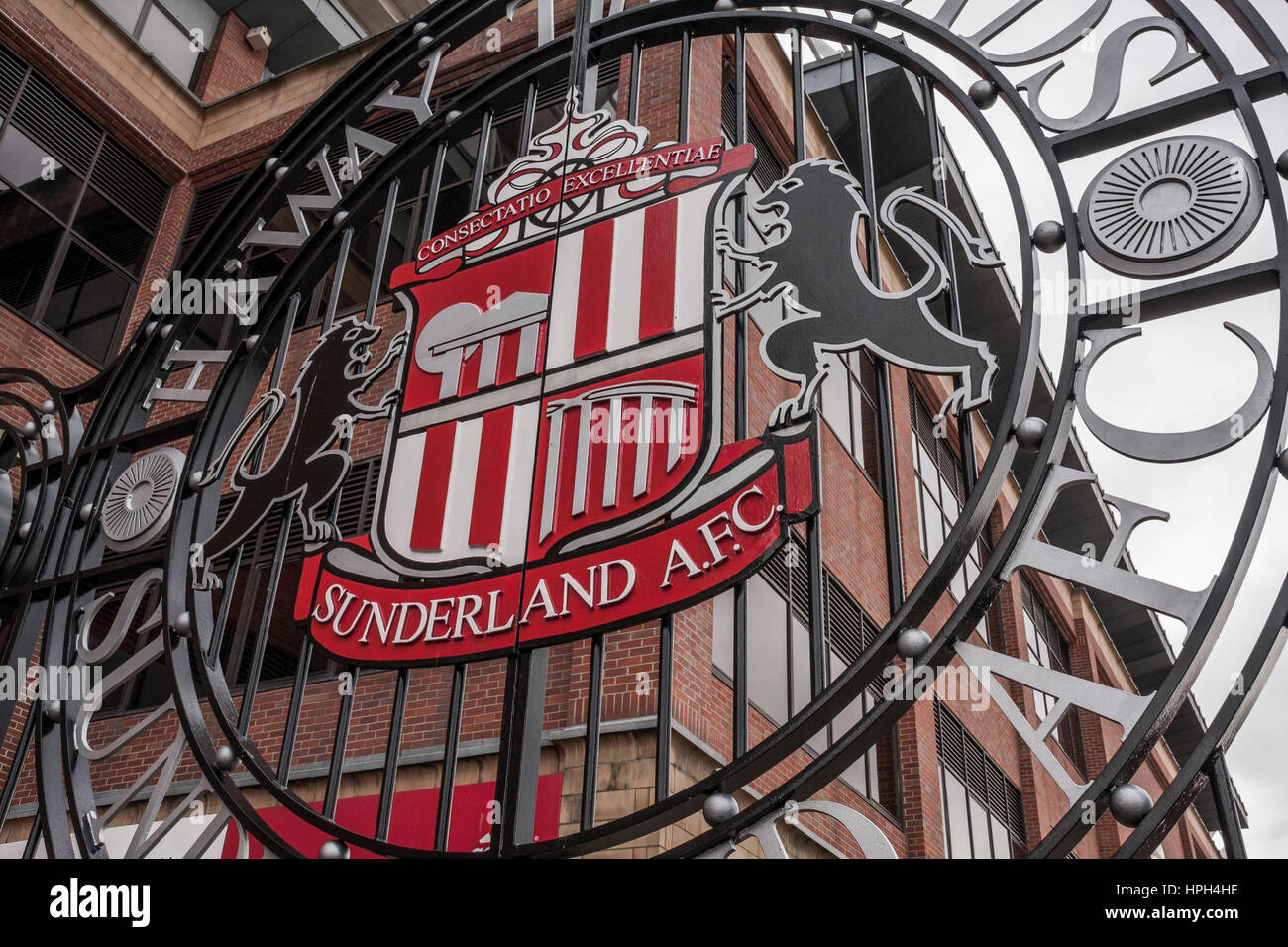 Sunderland football badge hi-res stock photography and images - Alamy