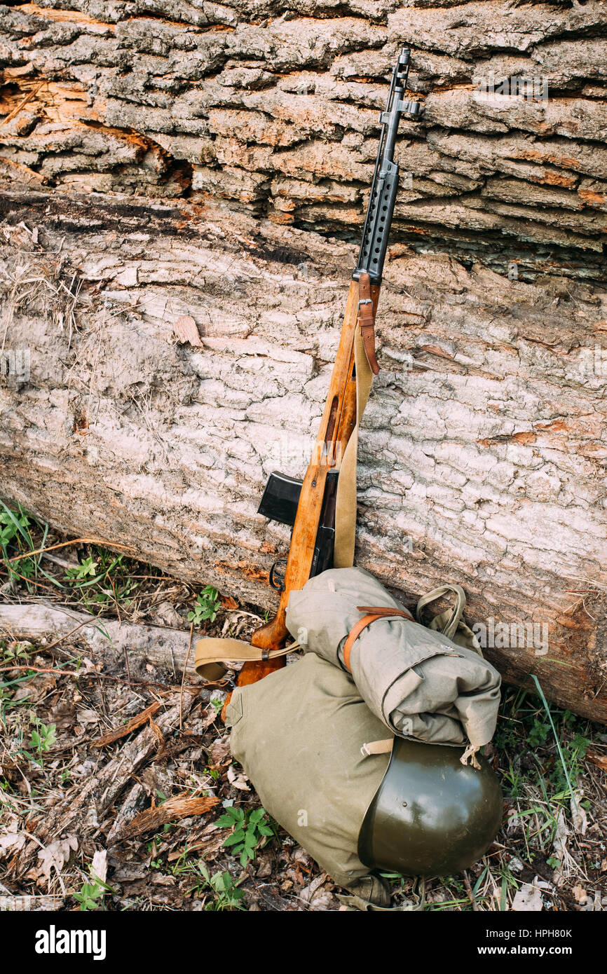 Old soviet russian rifle of World War II leaning against trunk of tree ...