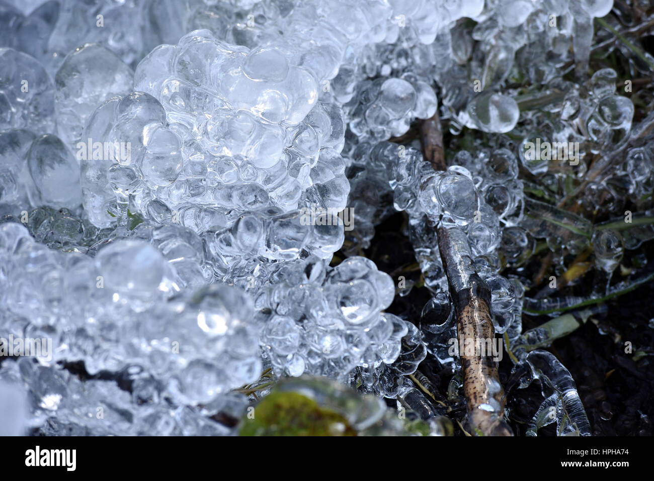 Abstract ice crystals on frozen plants at winter Stock Photo - Alamy
