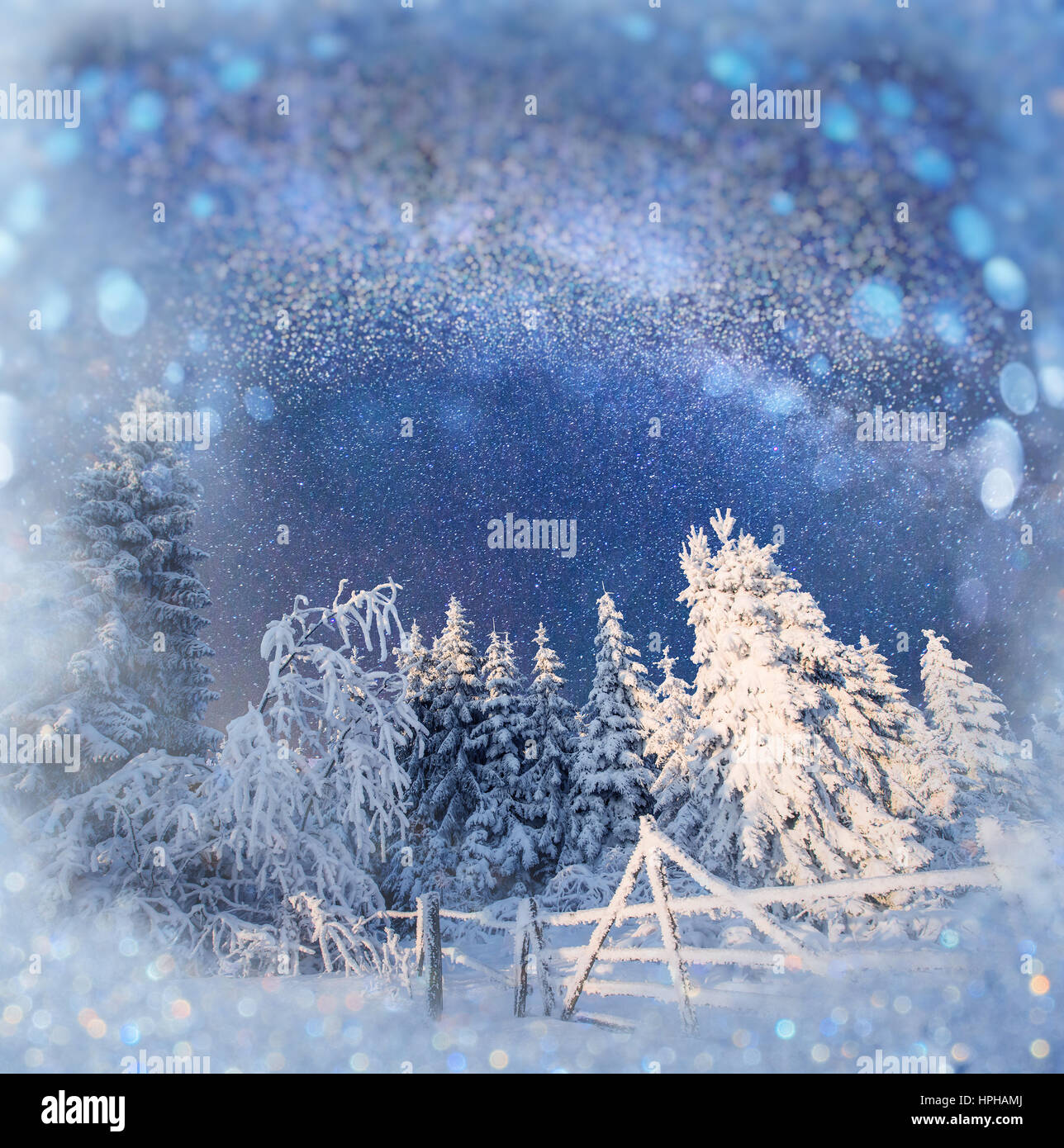 Winter landscape trees and fence in hoarfrost. Winter background with ...