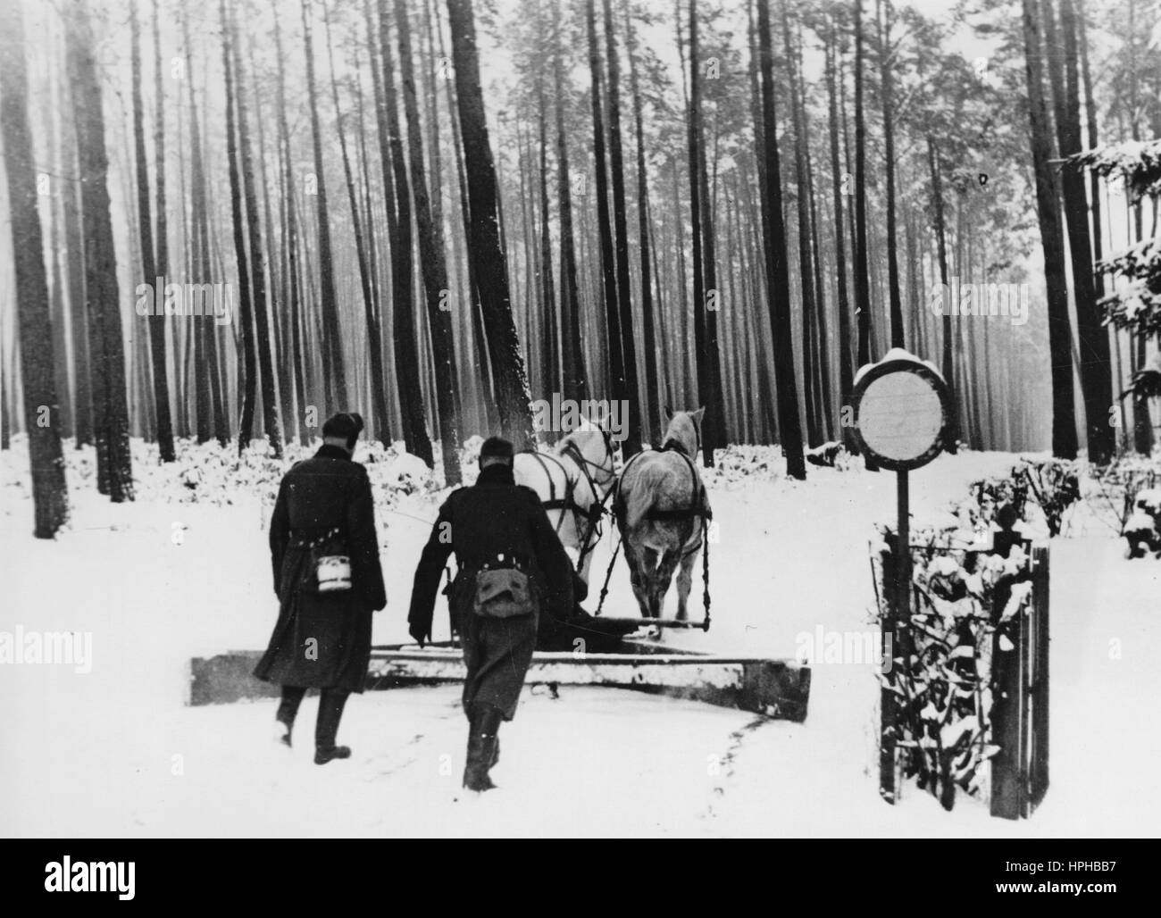 The Nazi propaganda image shows German Wehrmacht soldiers on a horse ...