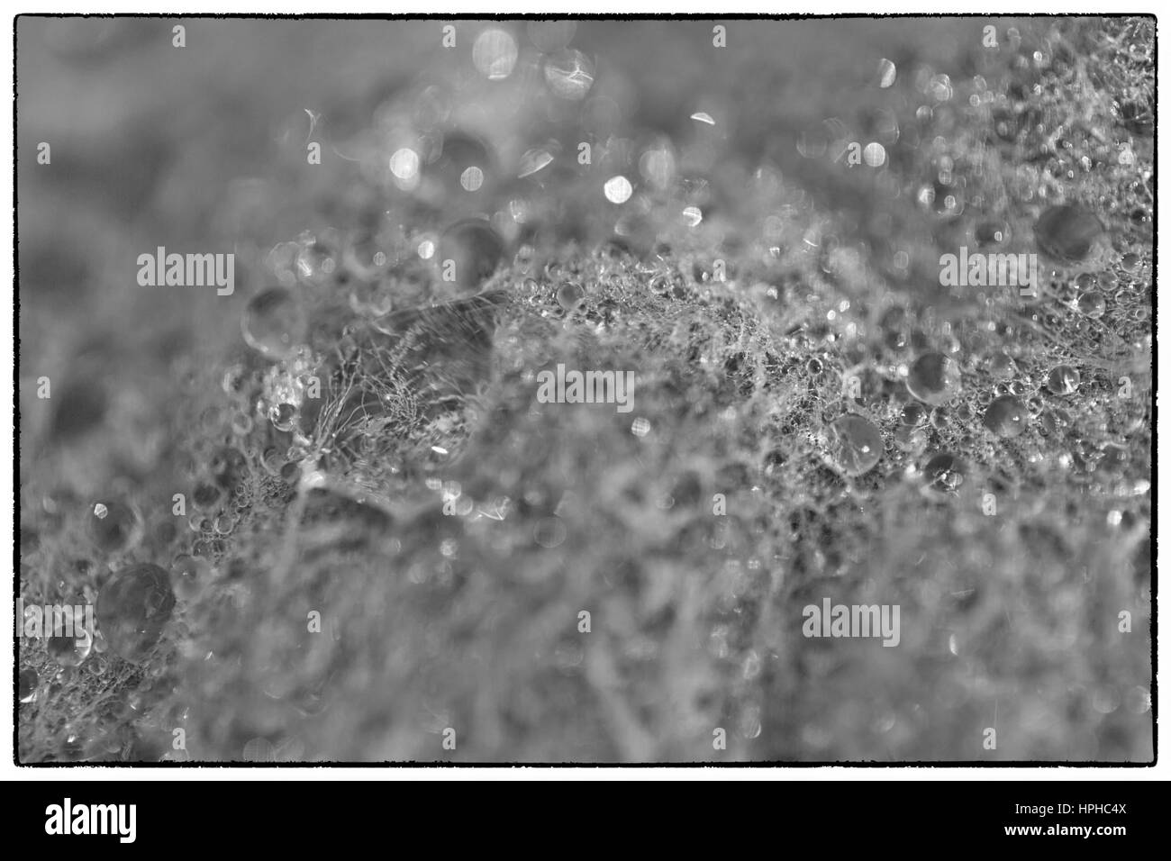 A macro image showing frozen water drops on leaf with texture details ...