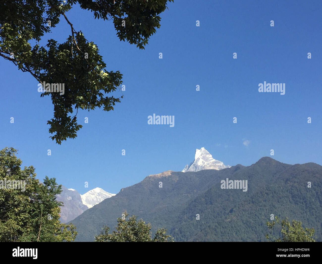 Machhapuchhare Fishtail mountain and Annapurna Himalaya Nepal range ...