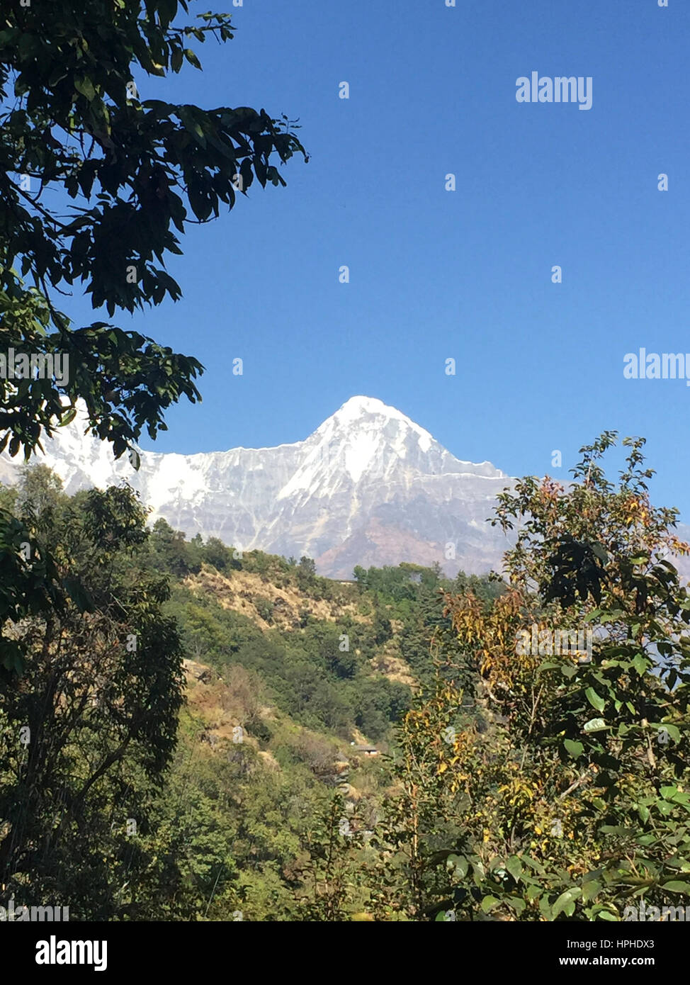 Machhapuchhare Fishtail mountain and Annapurna Himalaya Nepal range ...