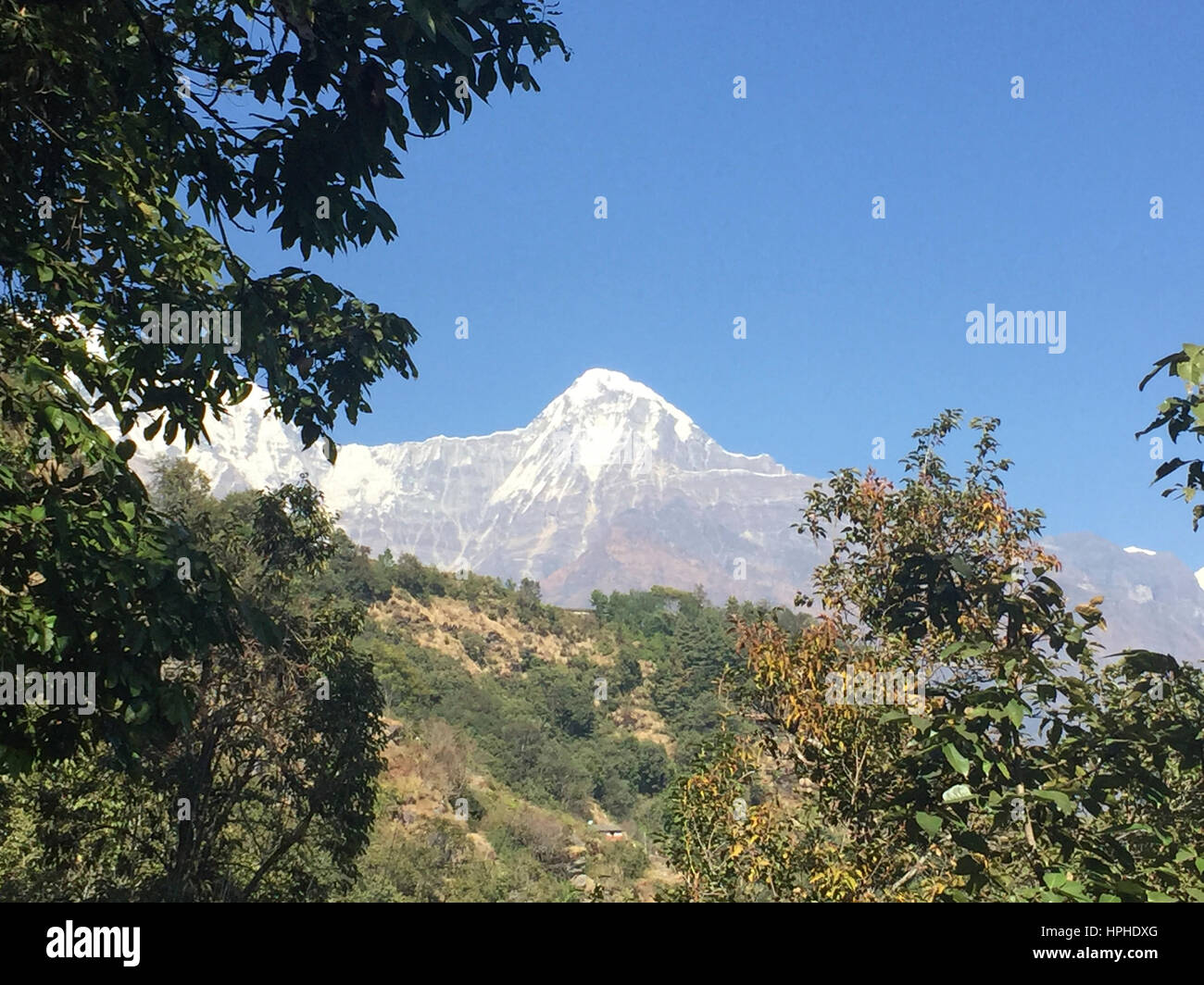 Machhapuchhare Fishtail mountain and Annapurna Himalaya Nepal range ...