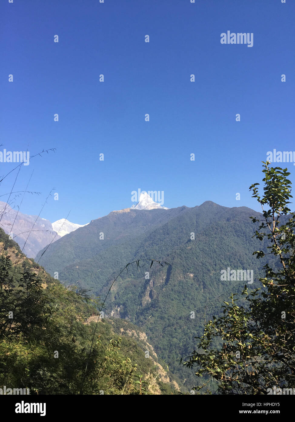 Machhapuchhare Fishtail mountain and Annapurna Himalaya Nepal range ...