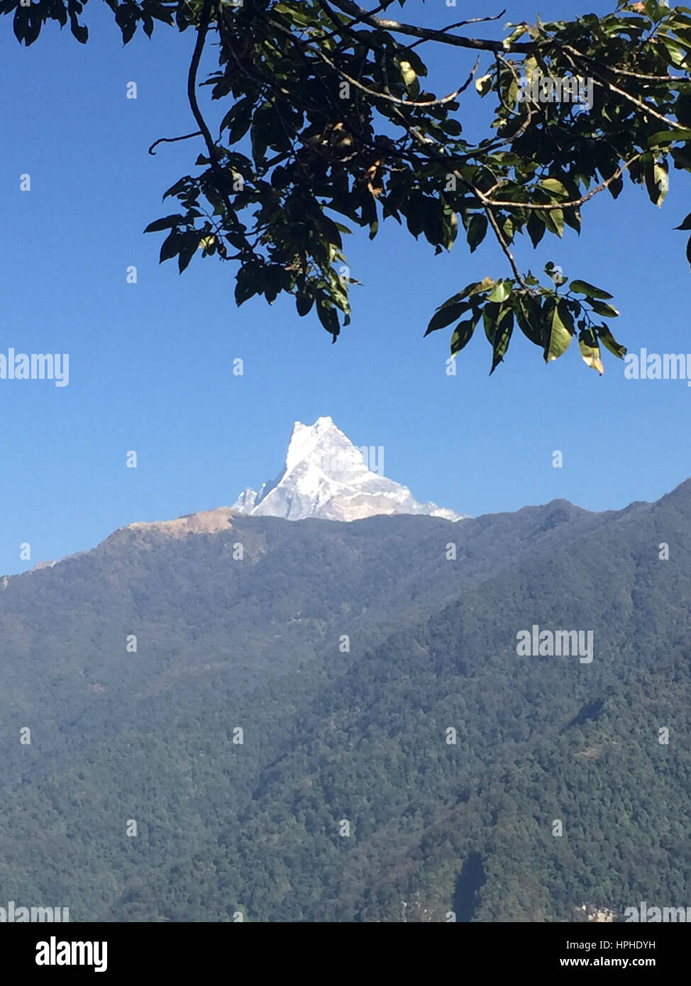 Machhapuchhare Fishtail mountain and Annapurna Himalaya Nepal range ...