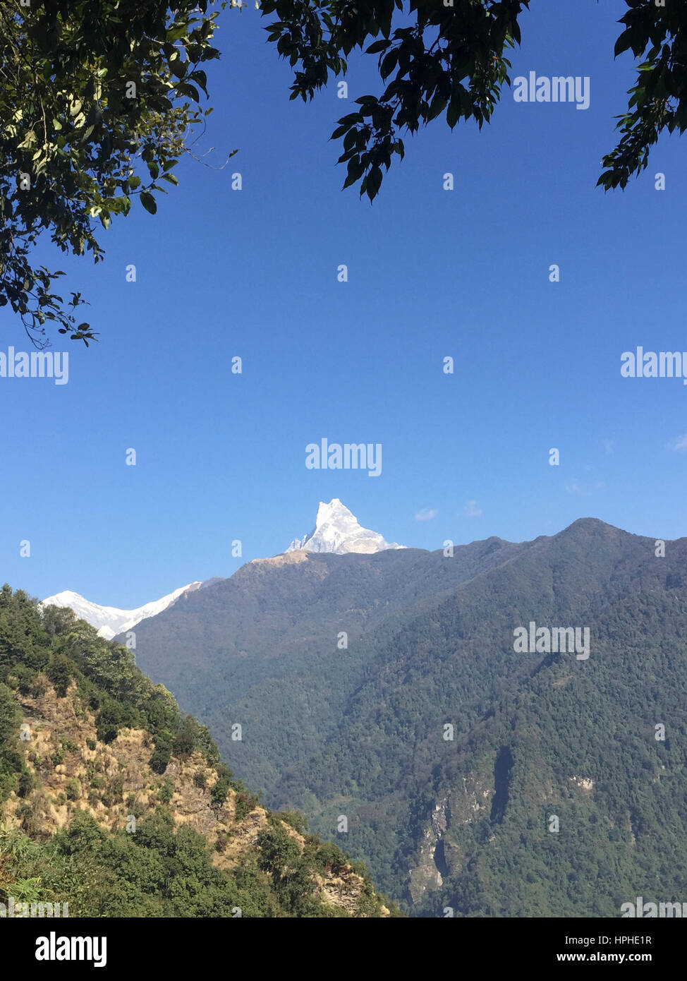 Machhapuchhare Fishtail mountain and Annapurna Himalaya Nepal range ...