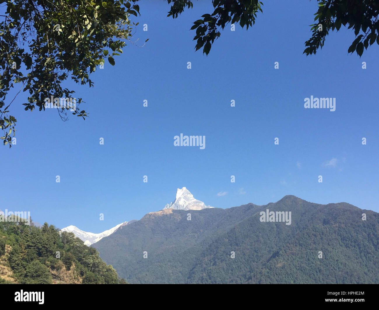 Machhapuchhare Fishtail mountain and Annapurna Himalaya Nepal range ...