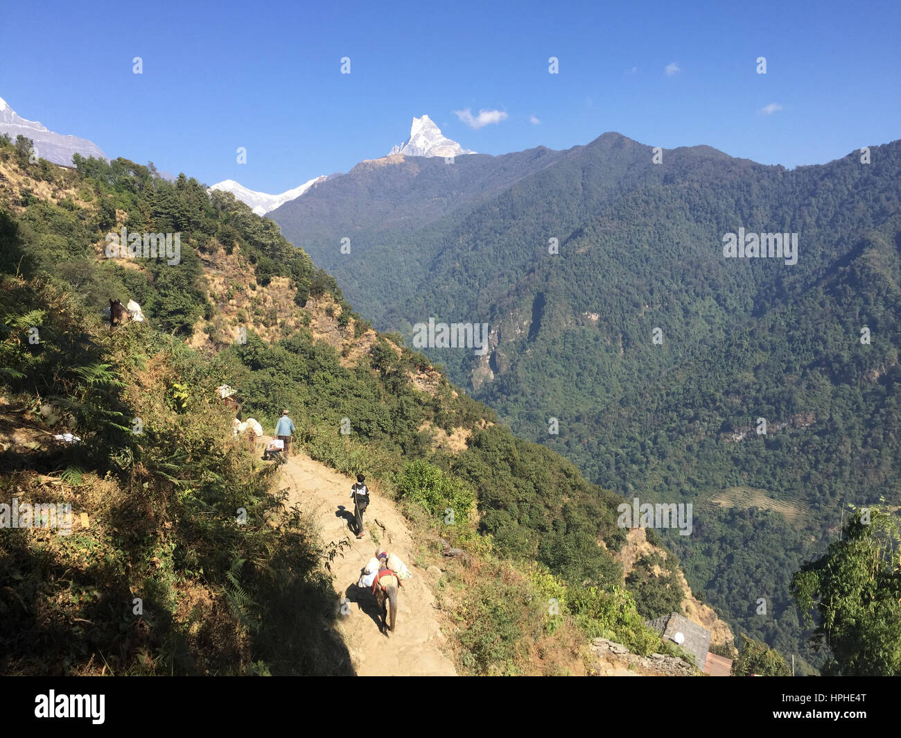 Machhapuchhare Fishtail mountain and Annapurna Himalaya Nepal range ...