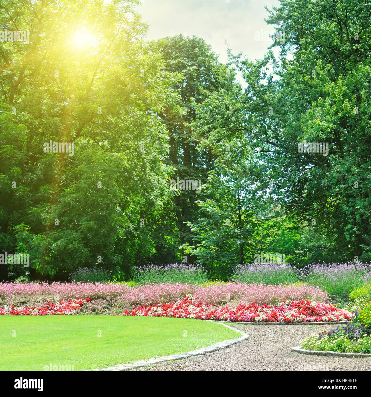 sunrise in beautiful summer park Stock Photo - Alamy