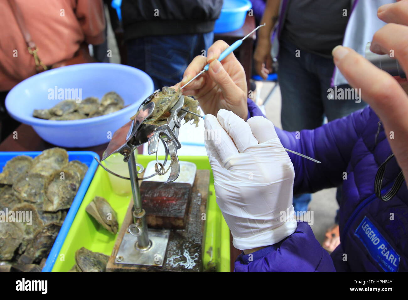 Pearl Farm Vietnam High Resolution Stock Photography and Images - Alamy