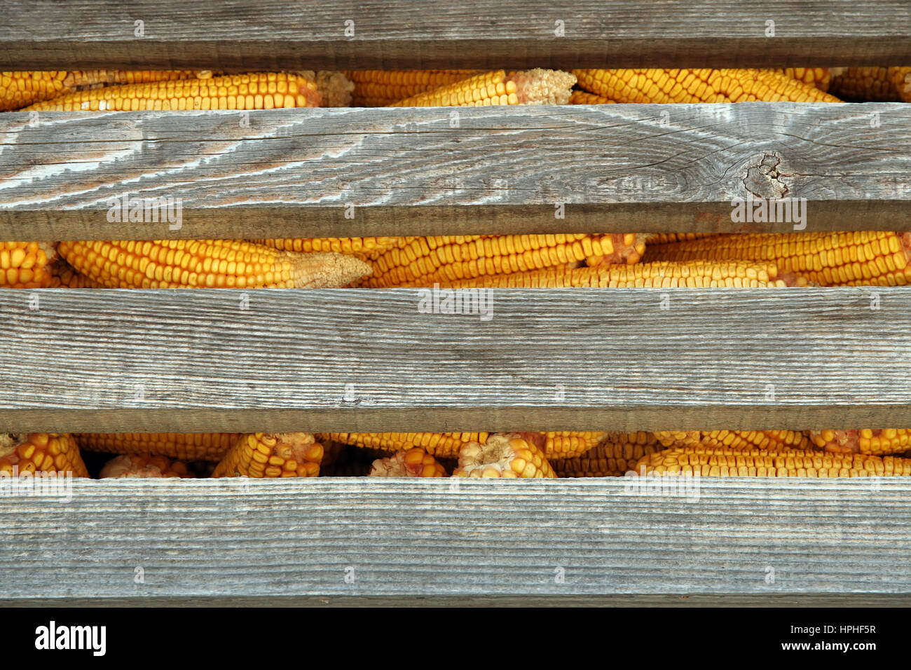 Vintage organic architecture hi-res stock photography and images - Alamy