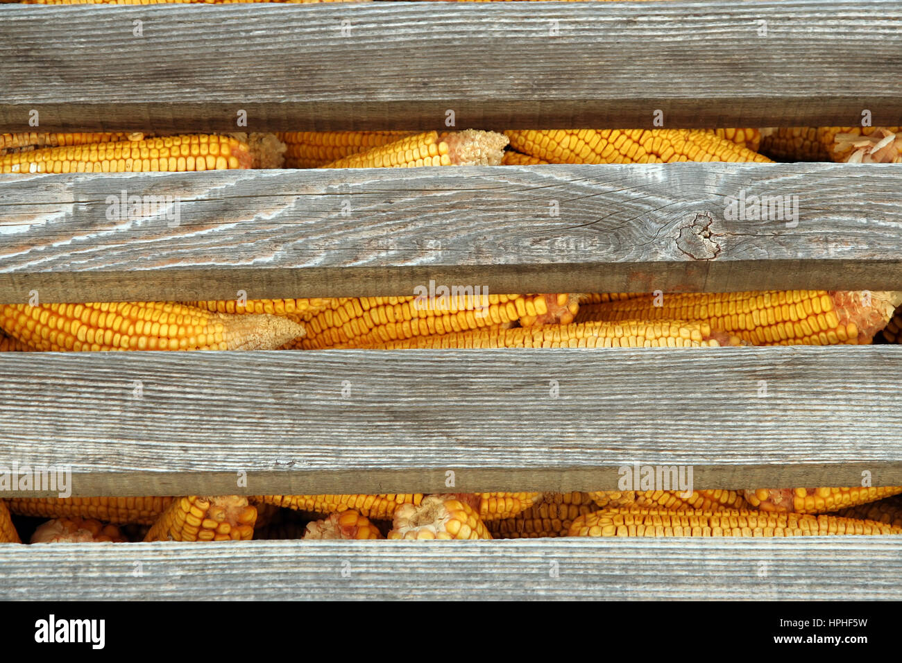 Old stack of corn in a vintage silo Stock Photo - Alamy