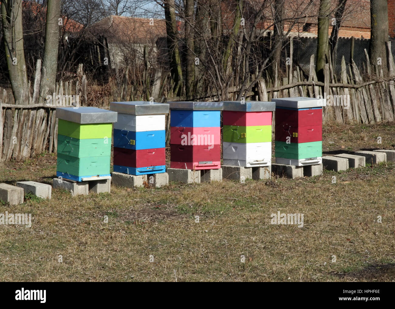 Insect hive hi-res stock photography and images - Alamy