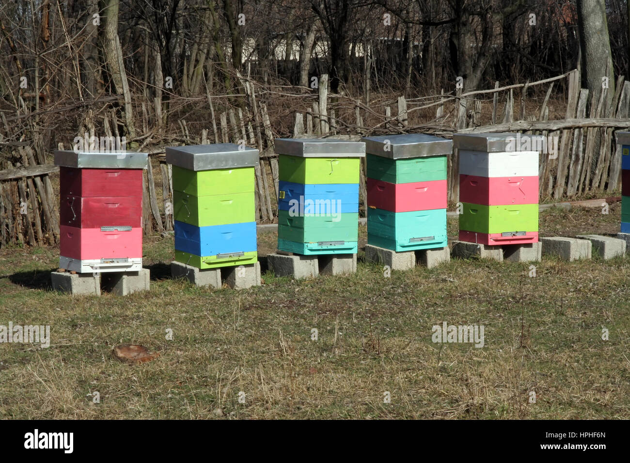 Bee hive on a meadow Stock Photo - Alamy