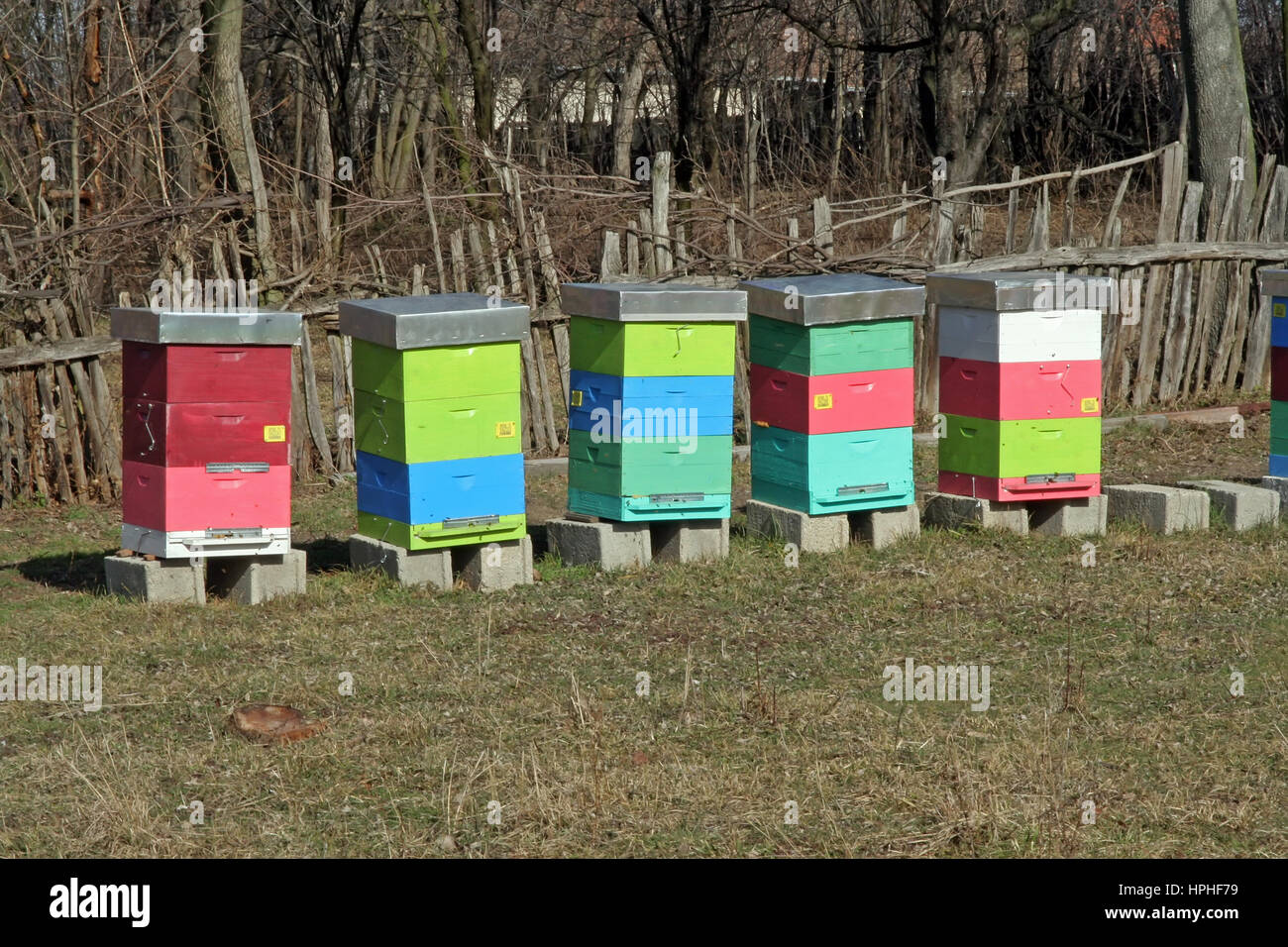 Bee hive on a meadow Stock Photo - Alamy