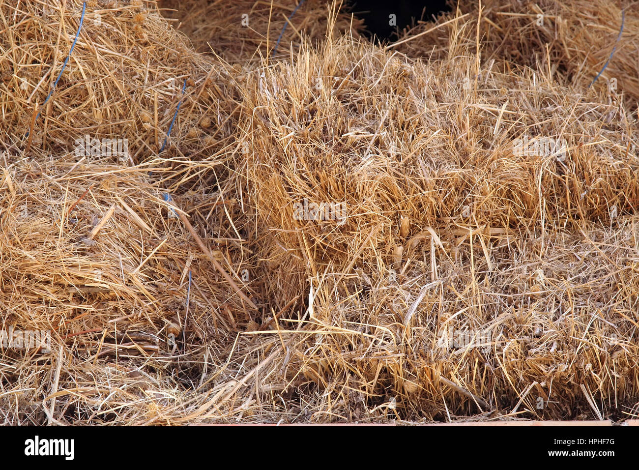 Pile of hay hi-res stock photography and images - Alamy