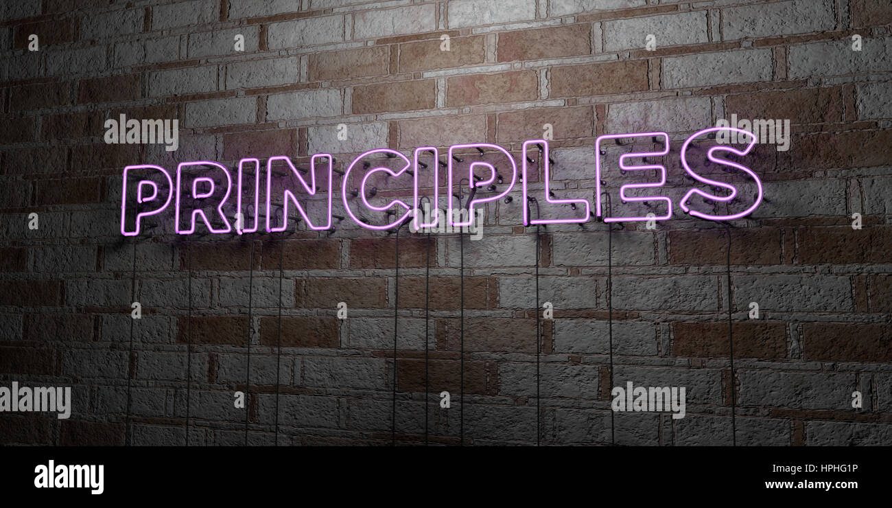 PRINCIPLES - Glowing Neon Sign on stonework wall - 3D rendered royalty ...