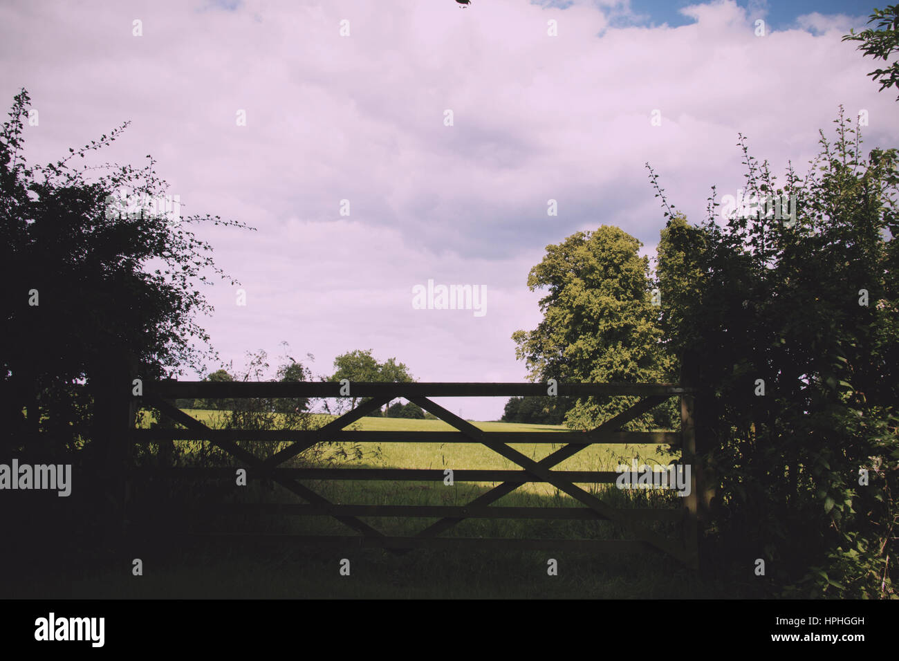 Gate at the entrance to a field in the english countryside Vintage ...