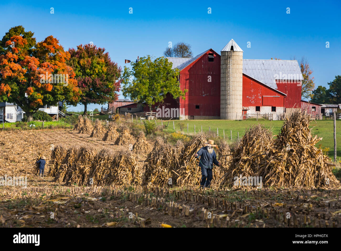Corn silo hi-res stock photography and images - Alamy