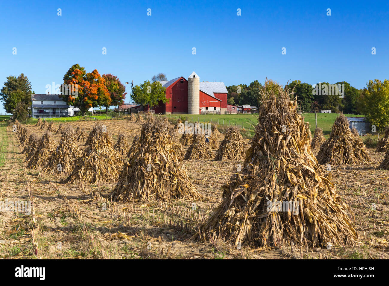 Corn Shocks High Resolution Stock Photography and Images - Alamy