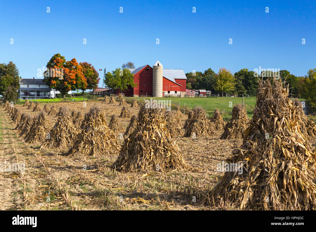 An Amish farm with corn shocks in the field near Kidron, Ohio, USA ...