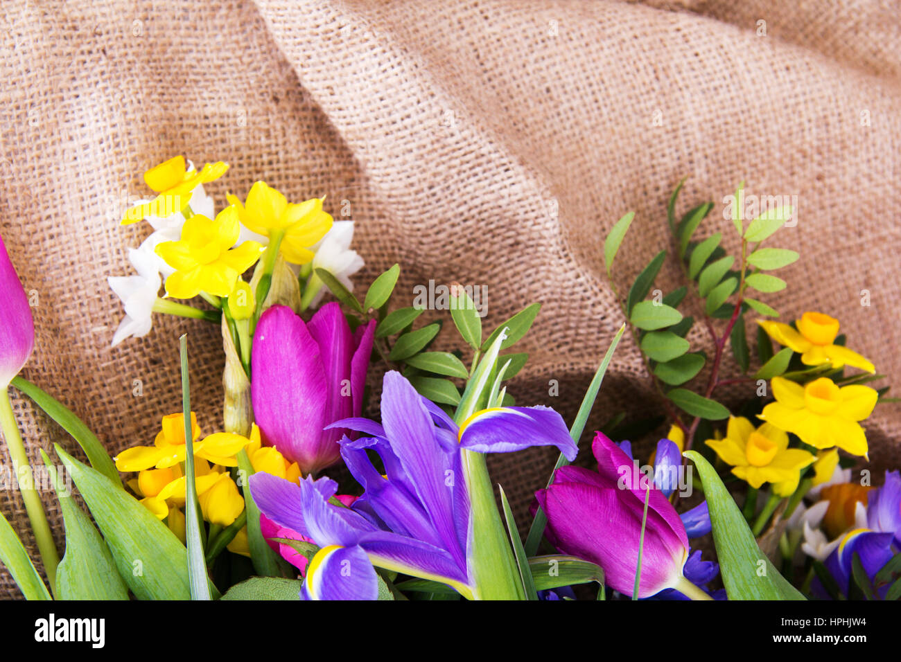 Spring cut flower arrangement against a rustic background Stock Photo ...