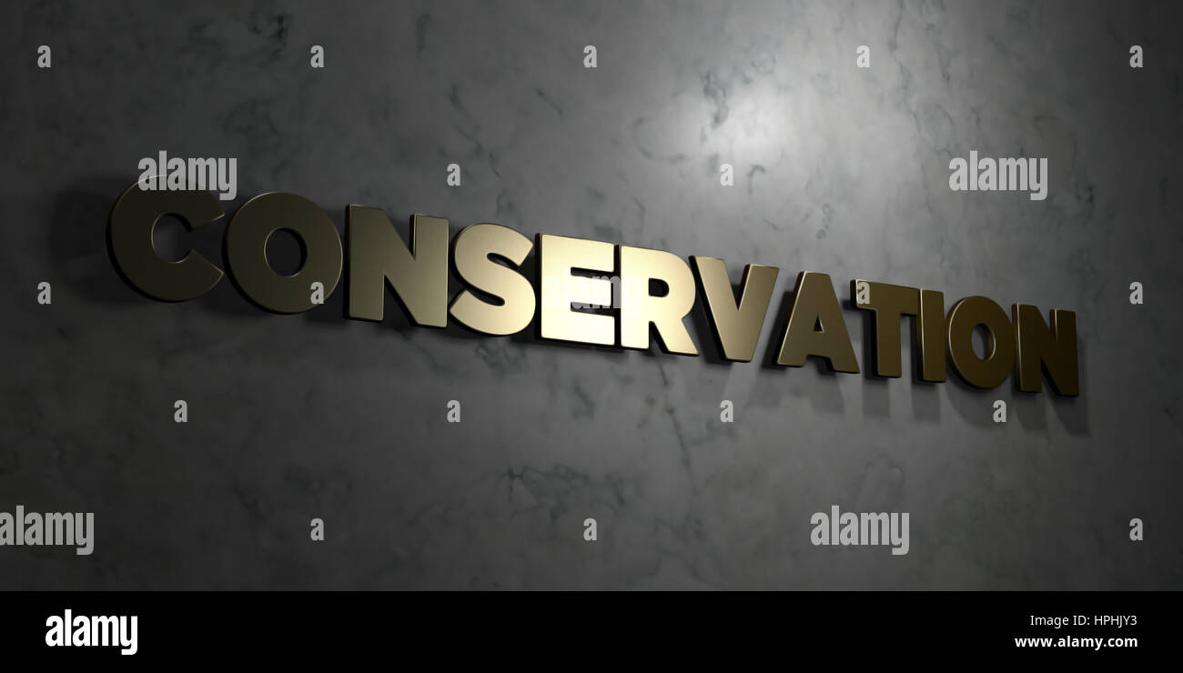 Conservation - Gold text on black background - 3D rendered royalty free ...