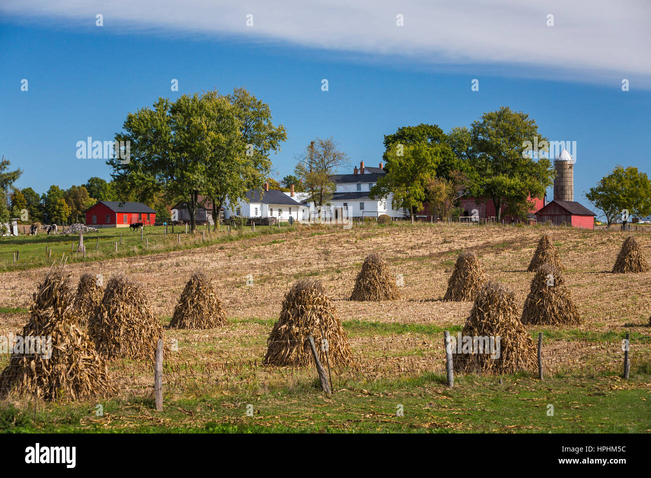 Amish farm corn in field hi-res stock photography and images - Alamy