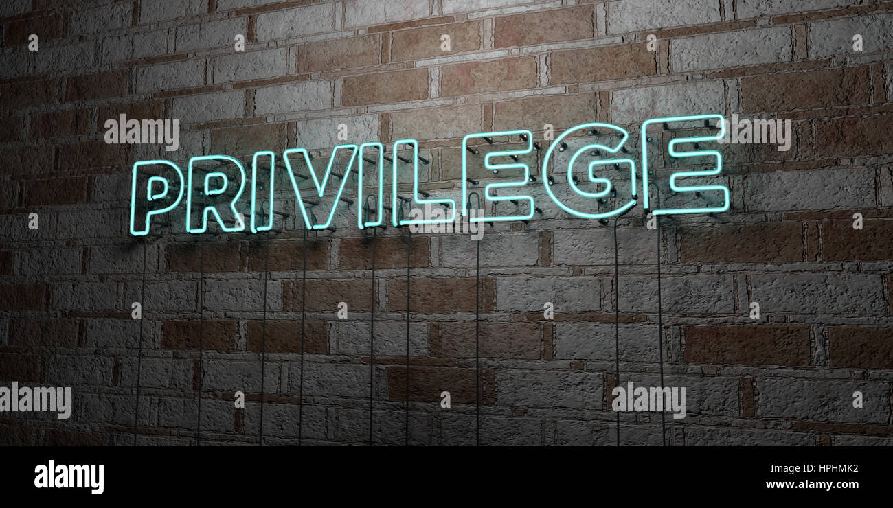 PRIVILEGE - Glowing Neon Sign on stonework wall - 3D rendered royalty ...