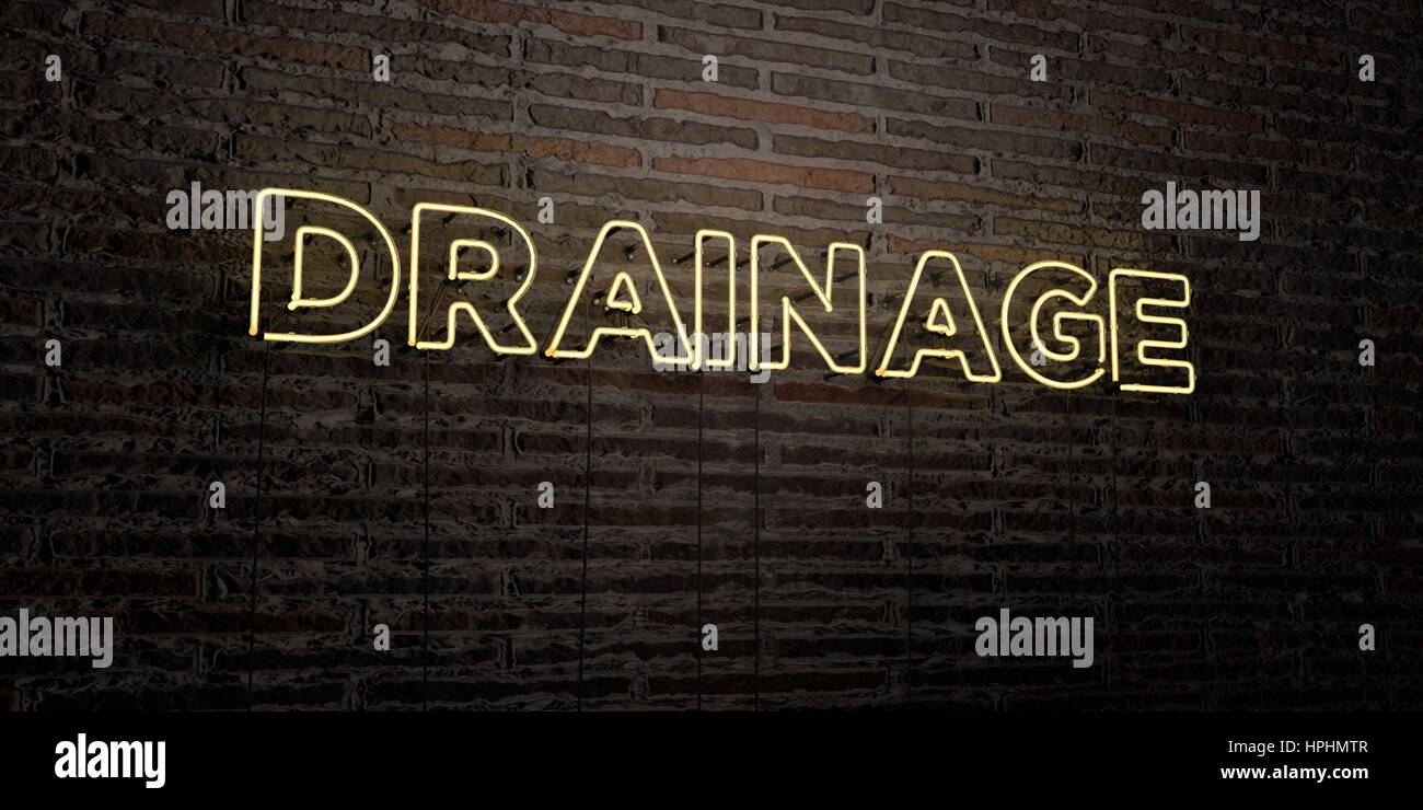 DRAINAGE -Realistic Neon Sign on Brick Wall background - 3D rendered ...