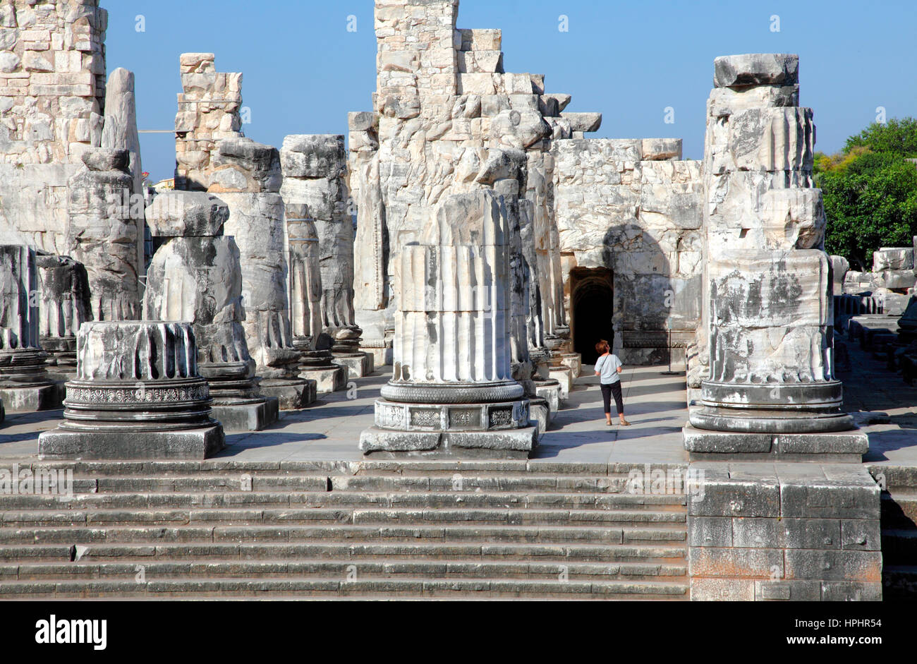 Turkey, province of Aydin, Didim, archaeological site of Dydimes, the ...